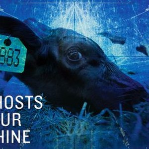 The Ghosts in Our Machine - Rotten Tomatoes