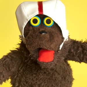 Warren the Ape - Rotten Tomatoes