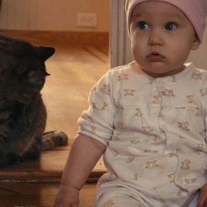 Babies - Rotten Tomatoes