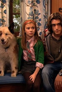 Dog With a Blog: Season 1, Episode 1 | Rotten Tomatoes