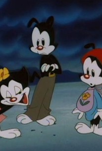 Animaniacs: Season 1, Episode 30 | Rotten Tomatoes
