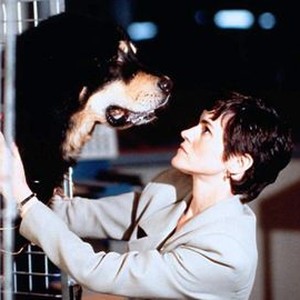 Man's Best Friend - Rotten Tomatoes