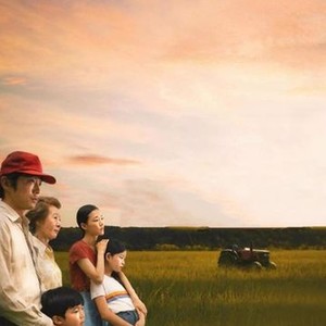 Minari - Rotten Tomatoes