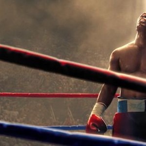 Big George Foreman: The Miraculous Story of the Once and Future ...