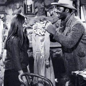 The McMasters - Rotten Tomatoes