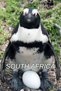 South Africa: Season 1 | Rotten Tomatoes