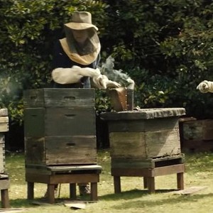 Gregor Selkirk - Rotten Tomatoes