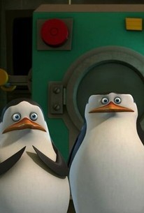 The Penguins of Madagascar: Season 2, Episode 65 | Rotten Tomatoes