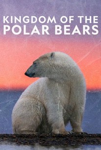Kingdom of the Polar Bears | Rotten Tomatoes