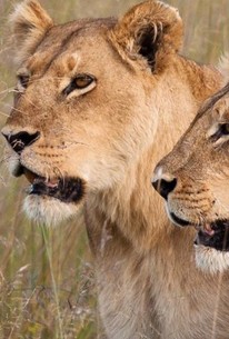 Predator Fail: Season 1, Episode 1 | Rotten Tomatoes