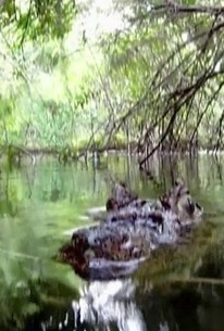 Swamp Brothers: Season 1, Episode 23 | Rotten Tomatoes