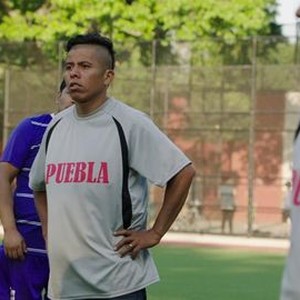 Fernando Cardona - Rotten Tomatoes