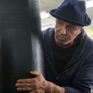 Creed - Rotten Tomatoes