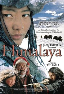 Himalaya | Rotten Tomatoes