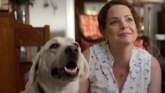 Dog Gone - Rotten Tomatoes