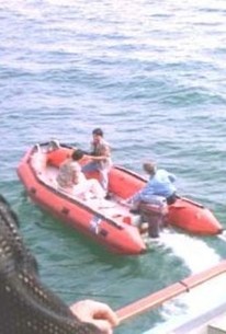 Baywatch - Season 3 Episode 9 - Rotten Tomatoes