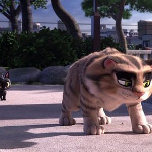 Rudolf the Black Cat - Rotten Tomatoes