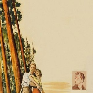 The Big Trees - Rotten Tomatoes