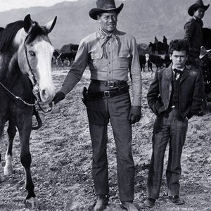 Cattle Drive - Rotten Tomatoes