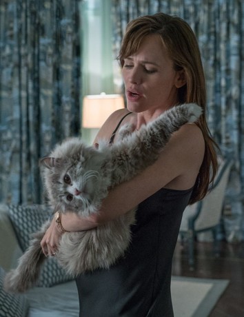 Nine lives the movie store