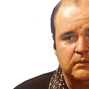 Fatso - Rotten Tomatoes