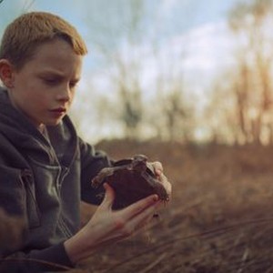 The Conservation Game - Rotten Tomatoes