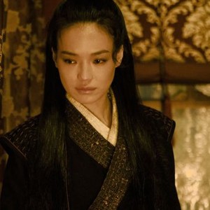 The Assassin - Rotten Tomatoes