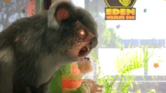 Zoombies - Rotten Tomatoes