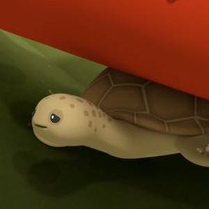 Octonauts Sea Turtle Hawksbill Turtles Werner Lau Diving Centers