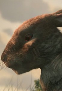 Watership Down: Miniseries, Episode 2 | Rotten Tomatoes