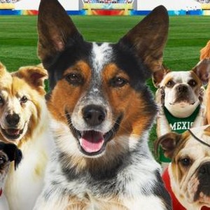 Pups United - Rotten Tomatoes