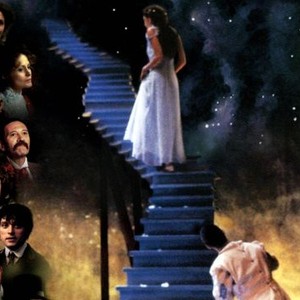 Illuminata - Rotten Tomatoes