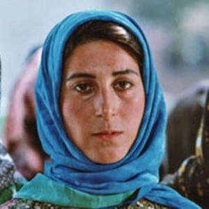 The Blue-Veiled - Rotten Tomatoes