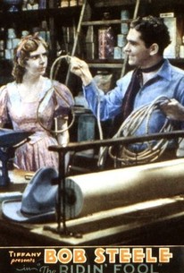 The Ridin' Fool | Rotten Tomatoes