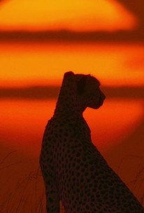 Our Universe: Season 1, Episode 1 - Rotten Tomatoes