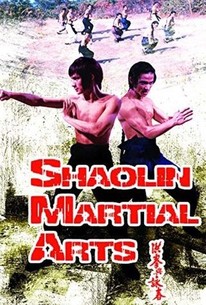 Shaolin Martial Arts | Rotten Tomatoes