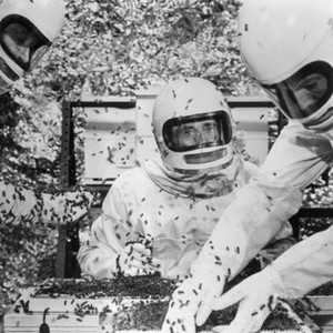 Alejandro Rey - Rotten Tomatoes