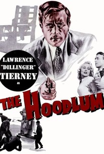 The Hoodlum | Rotten Tomatoes