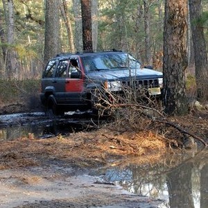 Pine Mud - Rotten Tomatoes