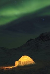 The Last Igloo | Rotten Tomatoes