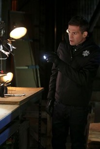 CSI: Crime Scene Investigation: Season 15, Episode 17 | Rotten Tomatoes