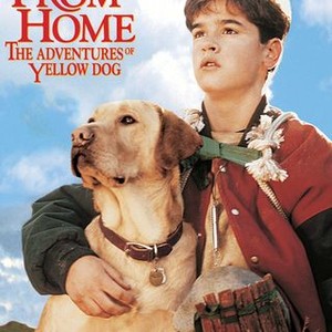 Far From Home: The Adventures of Yellow Dog - Rotten Tomatoes