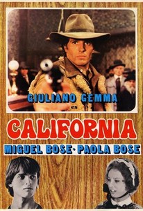 California | Rotten Tomatoes