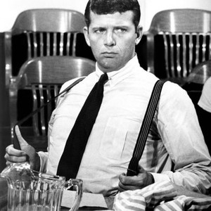 Robert Reed - Rotten Tomatoes