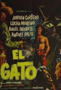 El gato | Rotten Tomatoes