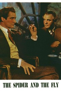 The Spider and the Fly | Rotten Tomatoes