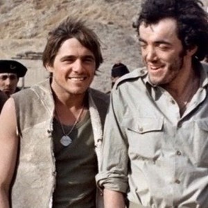 Nothing to Report - Rotten Tomatoes