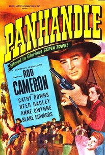 Panhandle | Rotten Tomatoes