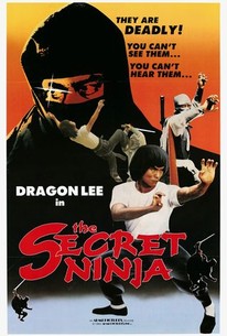 Secret Ninja | Rotten Tomatoes