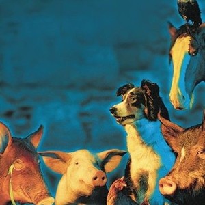 Animal Farm - Rotten Tomatoes